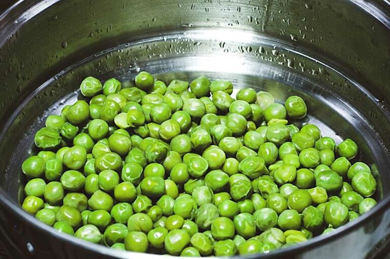 What Are The Best Foods To Steam? - The Meal Expert