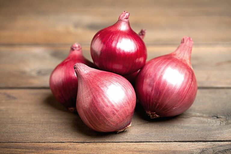 Can You Steam Onions In A Steamer? - The Meal Expert